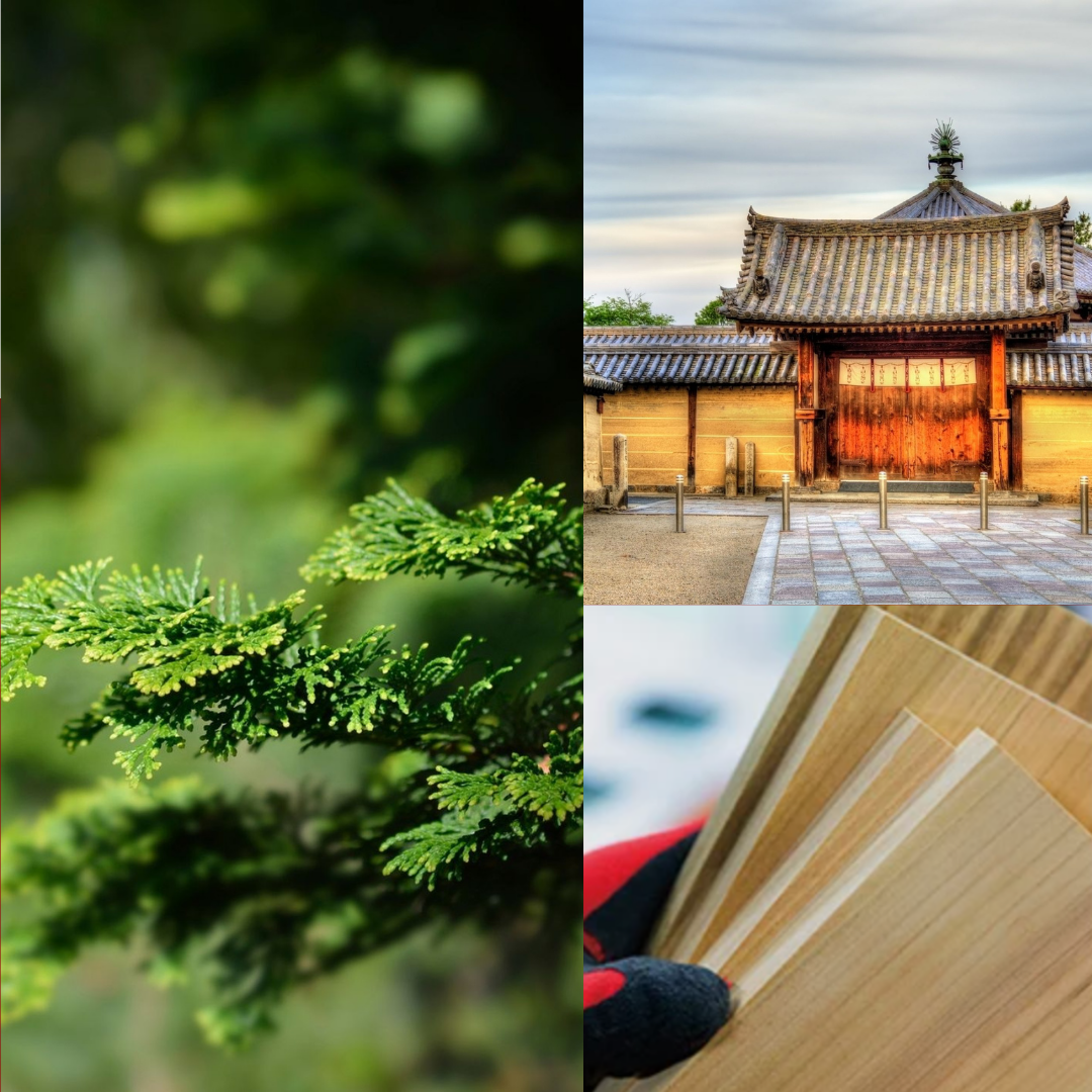 【Story】Shimanto Hinoki Wood Collection – J Passport Selection