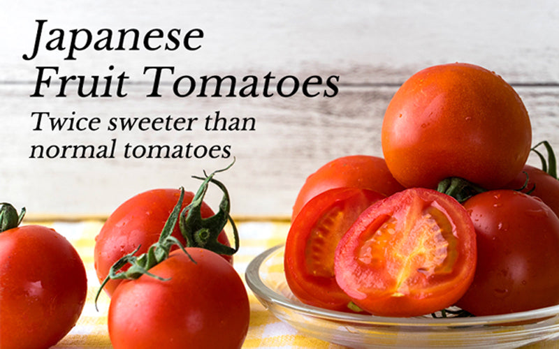 [New] Fresh, Sweet, Fruit Tomatoes from Japan – J Passport Selection