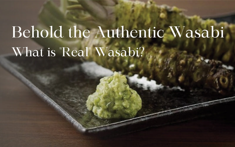 Behold Authentic Wasabi, Not Just a Paste – J Passport Selection