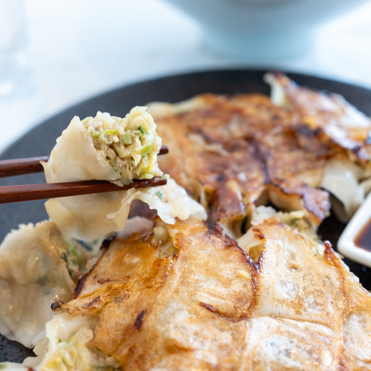 TORASHO - Handmade GYOZA (12pcs) – J Passport Selection